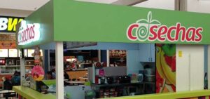 Franquicia shop in shop | Qué es, características y ejemplos